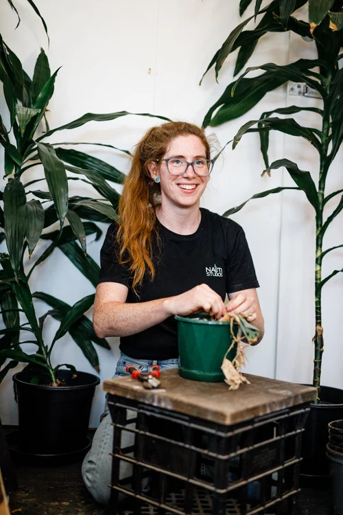 10 Best Indoor House Plants to Get Started As An Indoor House Plant ...