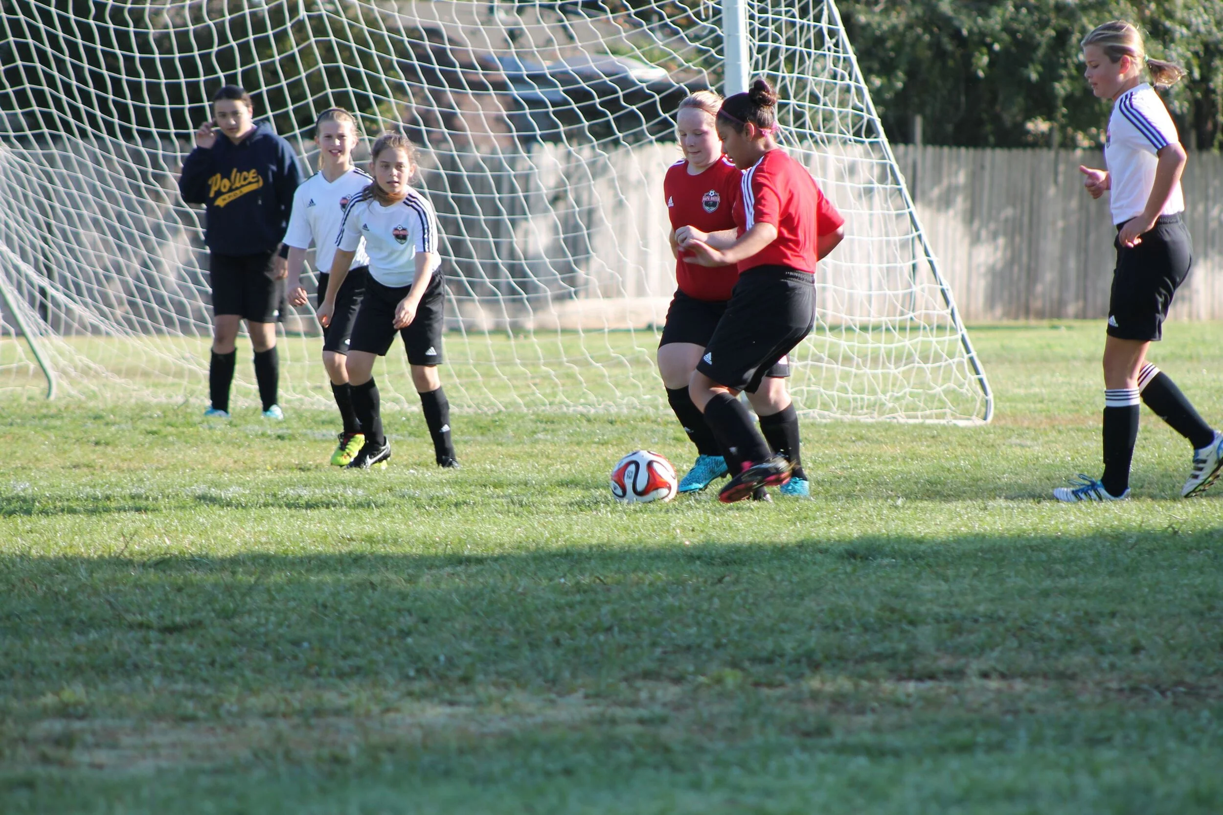 What We Do — Napa Parks and Recreation Foundation