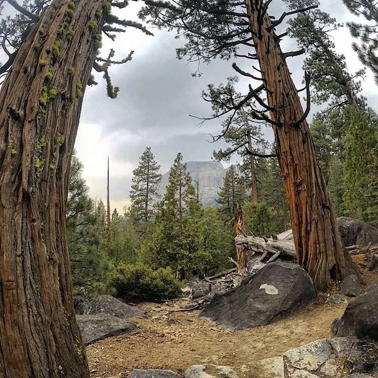 Hiking Half Dome In Yosemite: My Journey In 30 Pictures — Inked with ...