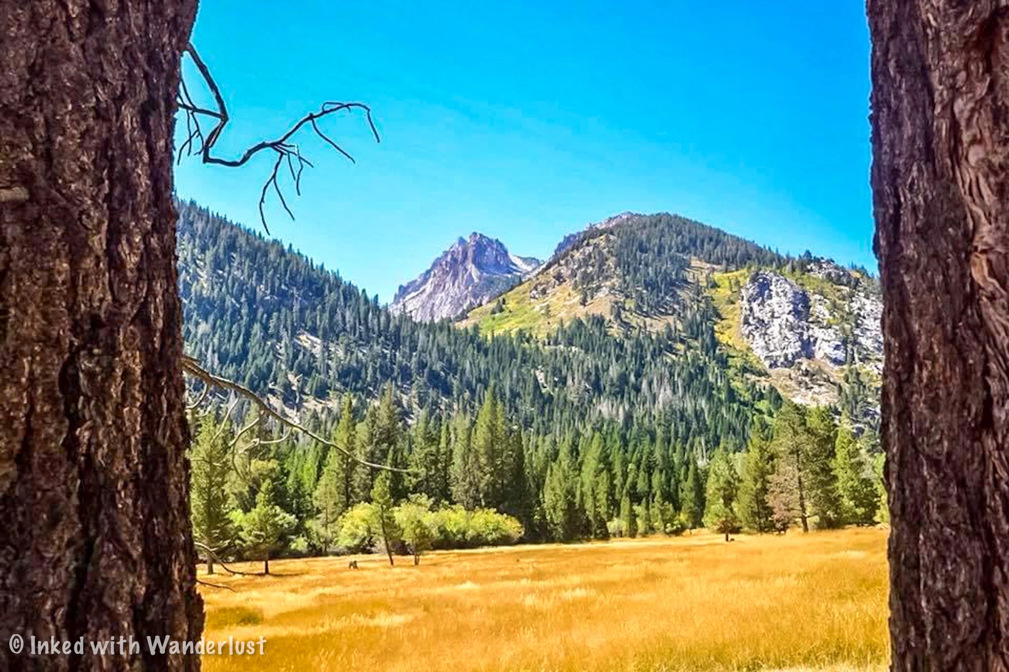 Barney Lake: A Beautiful Day Hike Near Bridgeport — Inked with Wanderlust