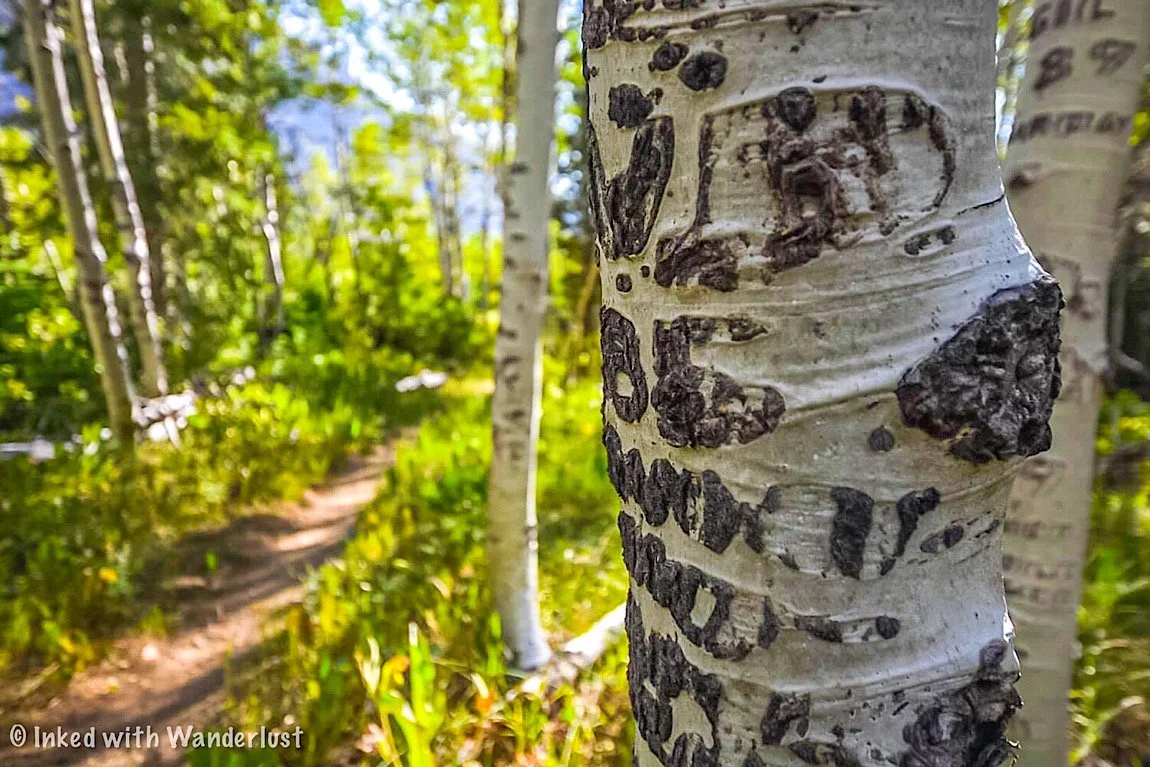 Barney Lake: A Beautiful Day Hike Near Bridgeport — Inked with Wanderlust