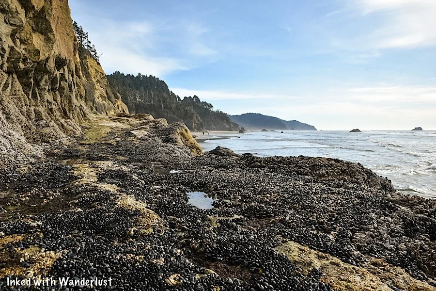 Hug Point Waterfall and Sea Caves: How To Get There, Timing The Tide ...