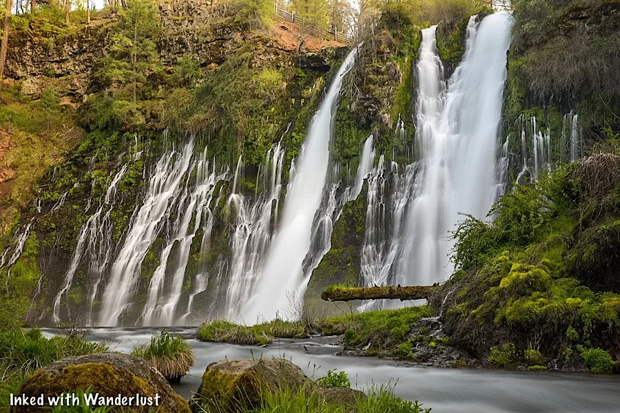 How To Hike The Burney Falls Scenic Loop Trail — Inked with Wanderlust