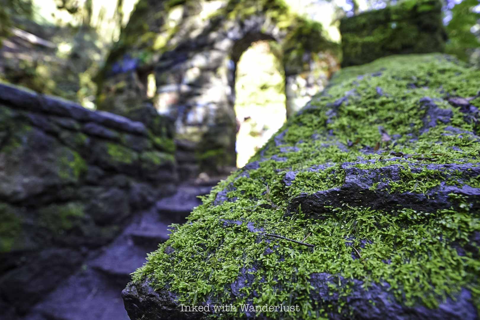 How To Hike to Witches Castle (Stone House) in Portland Oregon — Inked ...