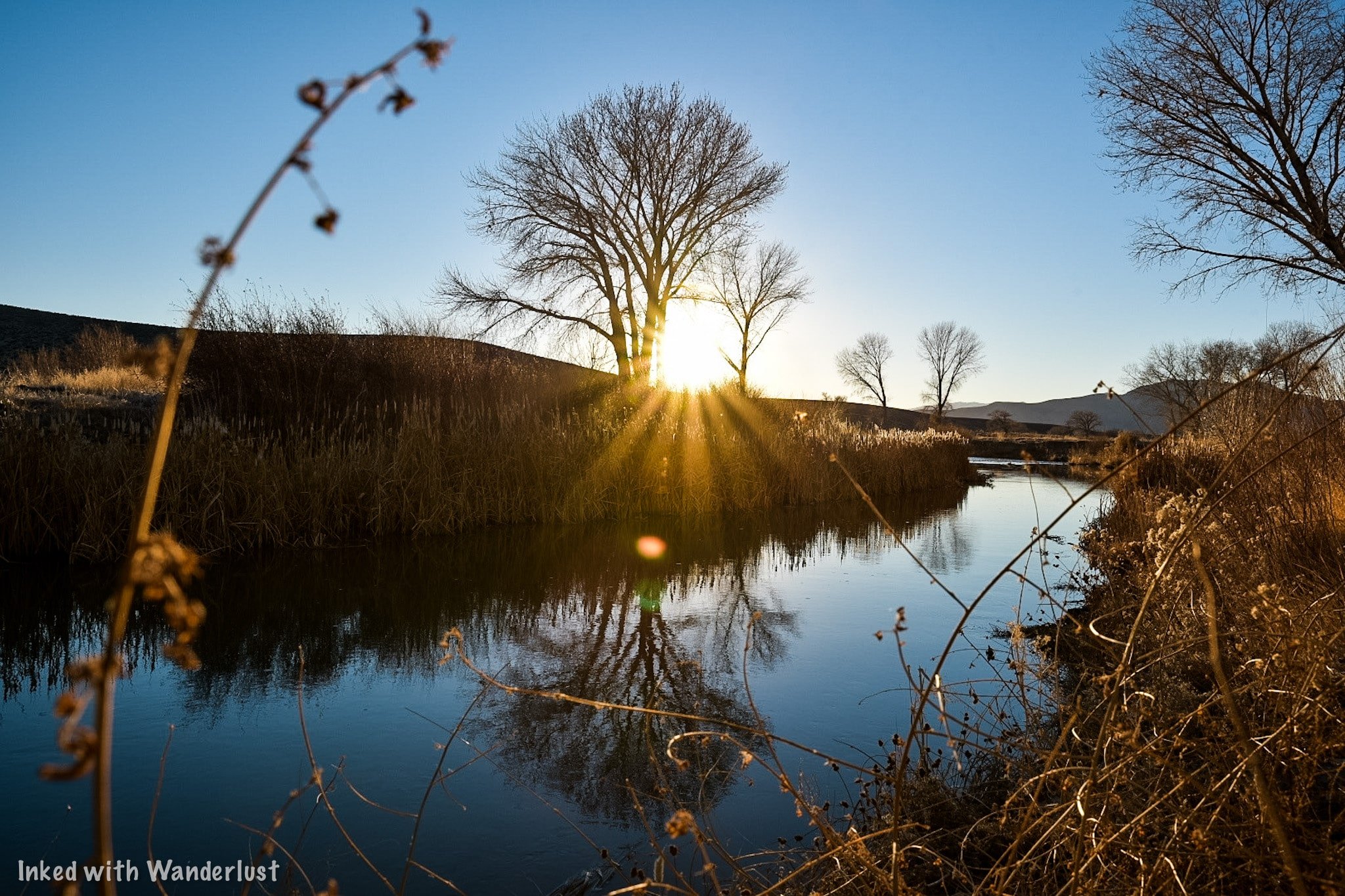 How To Visit Walker River State Recreation Area: Camping, Fishing, and ...