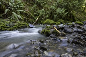 How To Hike to Witches Castle (Stone House) in Portland Oregon — Inked ...