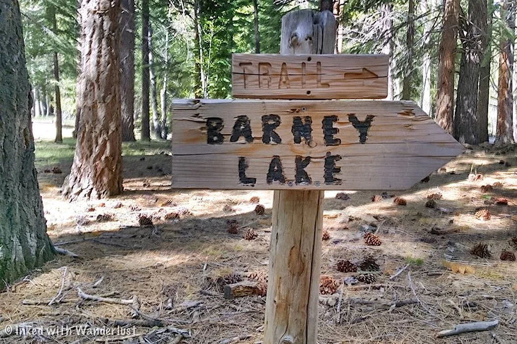 Barney Lake: A Beautiful Day Hike Near Bridgeport — Inked with Wanderlust