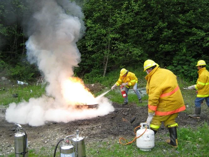 Our Courses — CAPP'S Northern Training