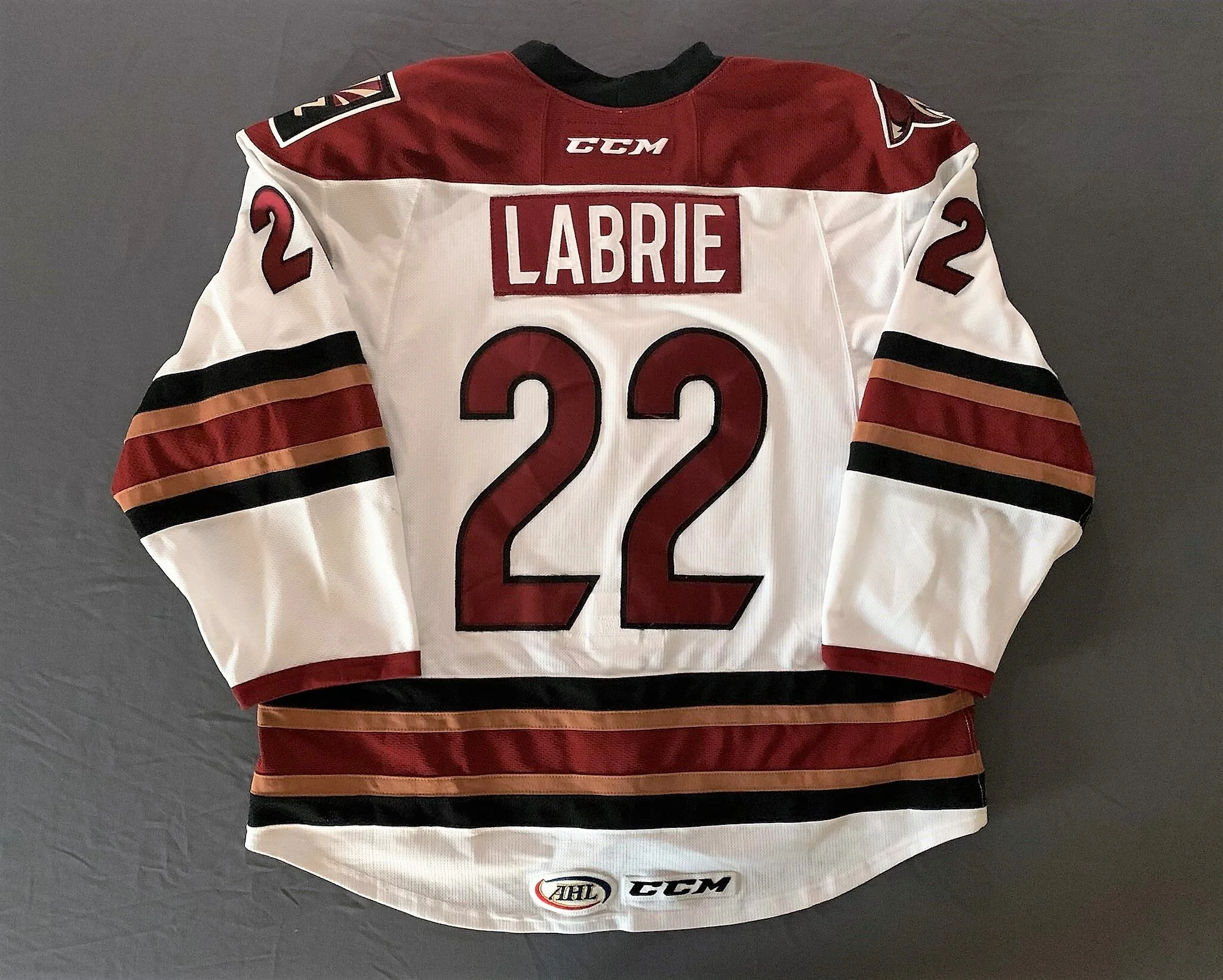 Pierre-Cedric Labrie 2017-2018 Tucson Roadrunners White Set Game Worn ...