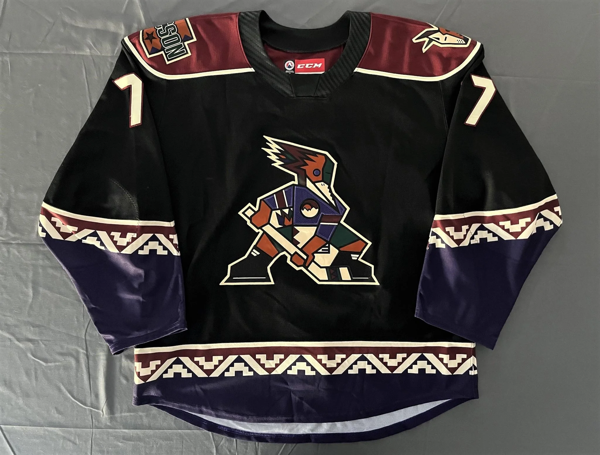 Victor Söderström 2020-2021 Tucson Roadrunners Alternate Set Game Worn ...