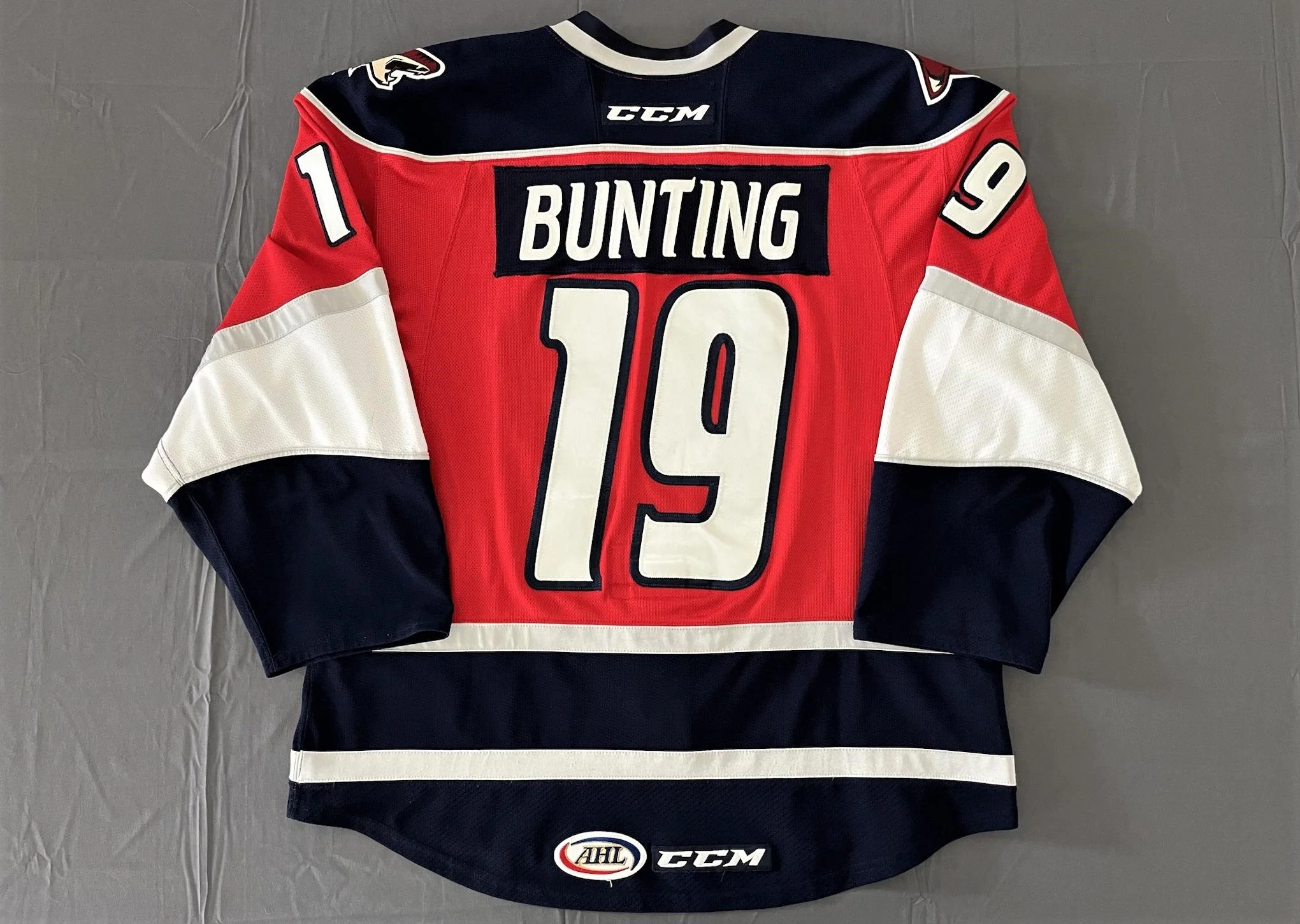 Michael Bunting 2015-2016 Springfield Falcons Alternate Set Game Worn ...