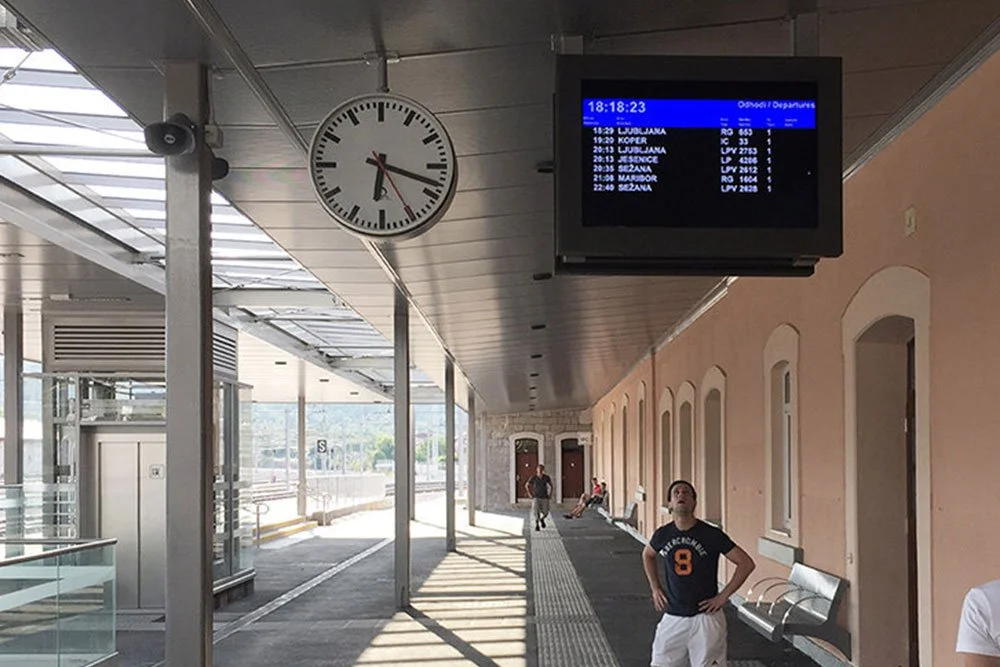 New Level of Efficiency with Dynamic Passenger Information Systems ...