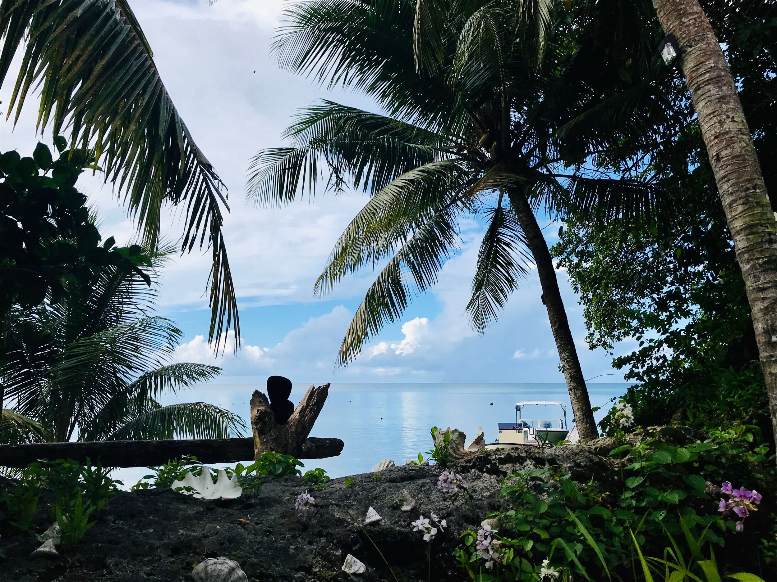 Tips To Living In Palau As An Expat (Guide) | Arawme