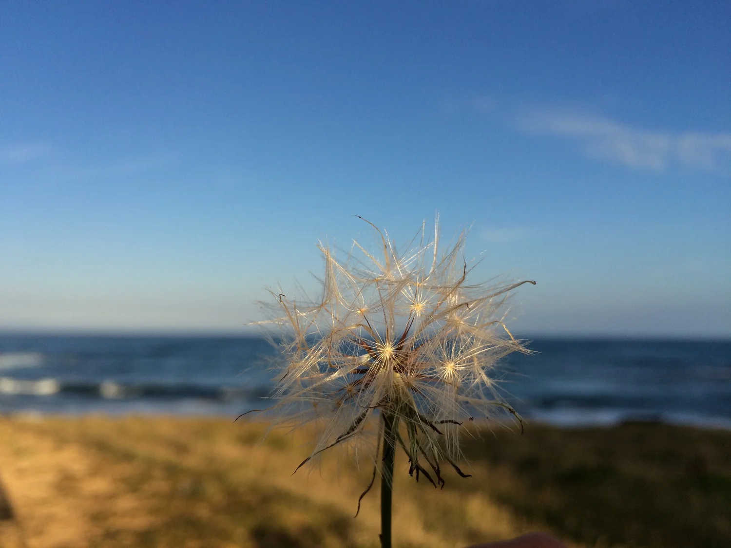 4 Tips On Cultivating More Compassion In Your Life | Arawme