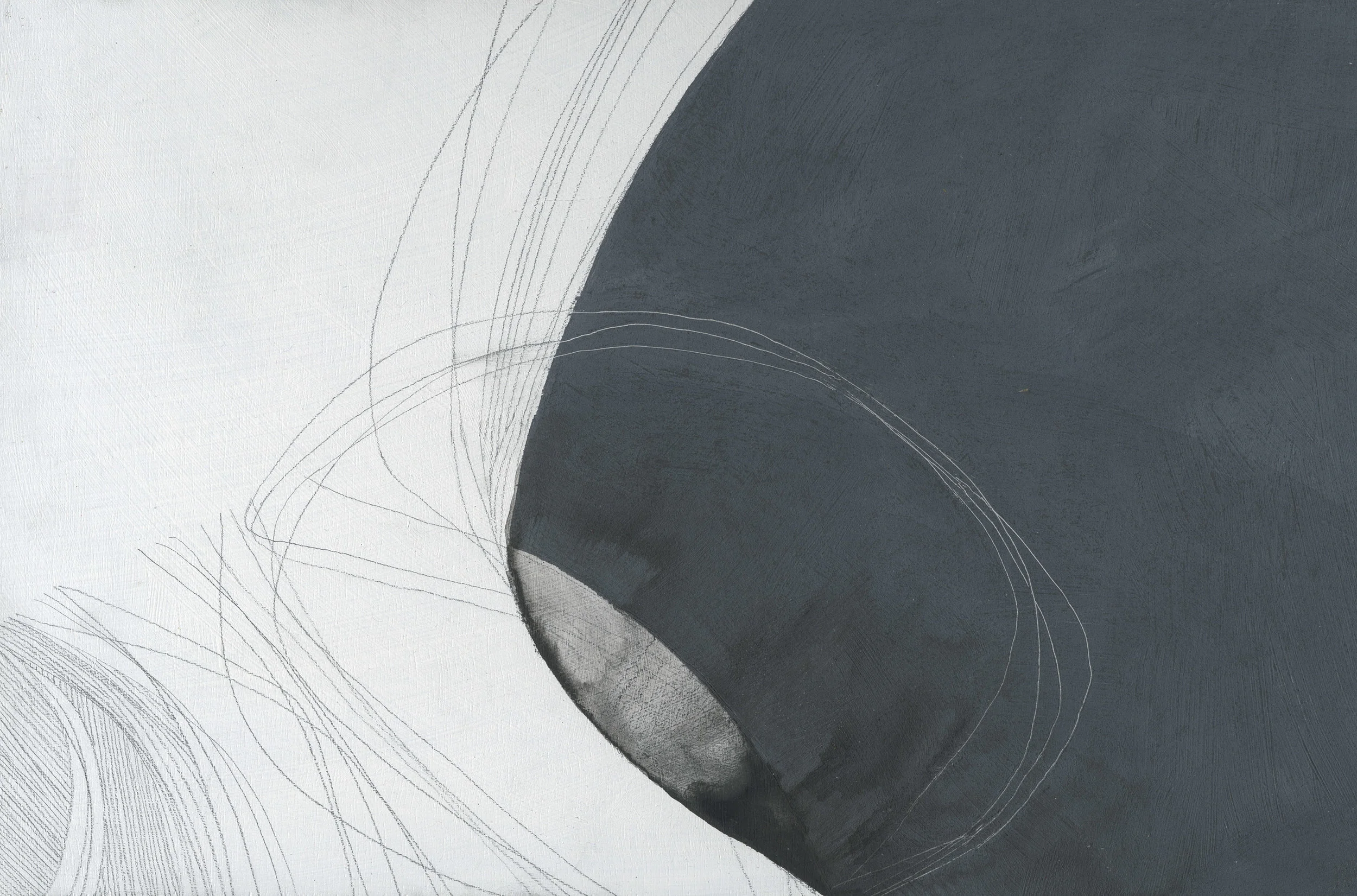 Loop Line - Fossile drawing — Art by Tina Mammoser