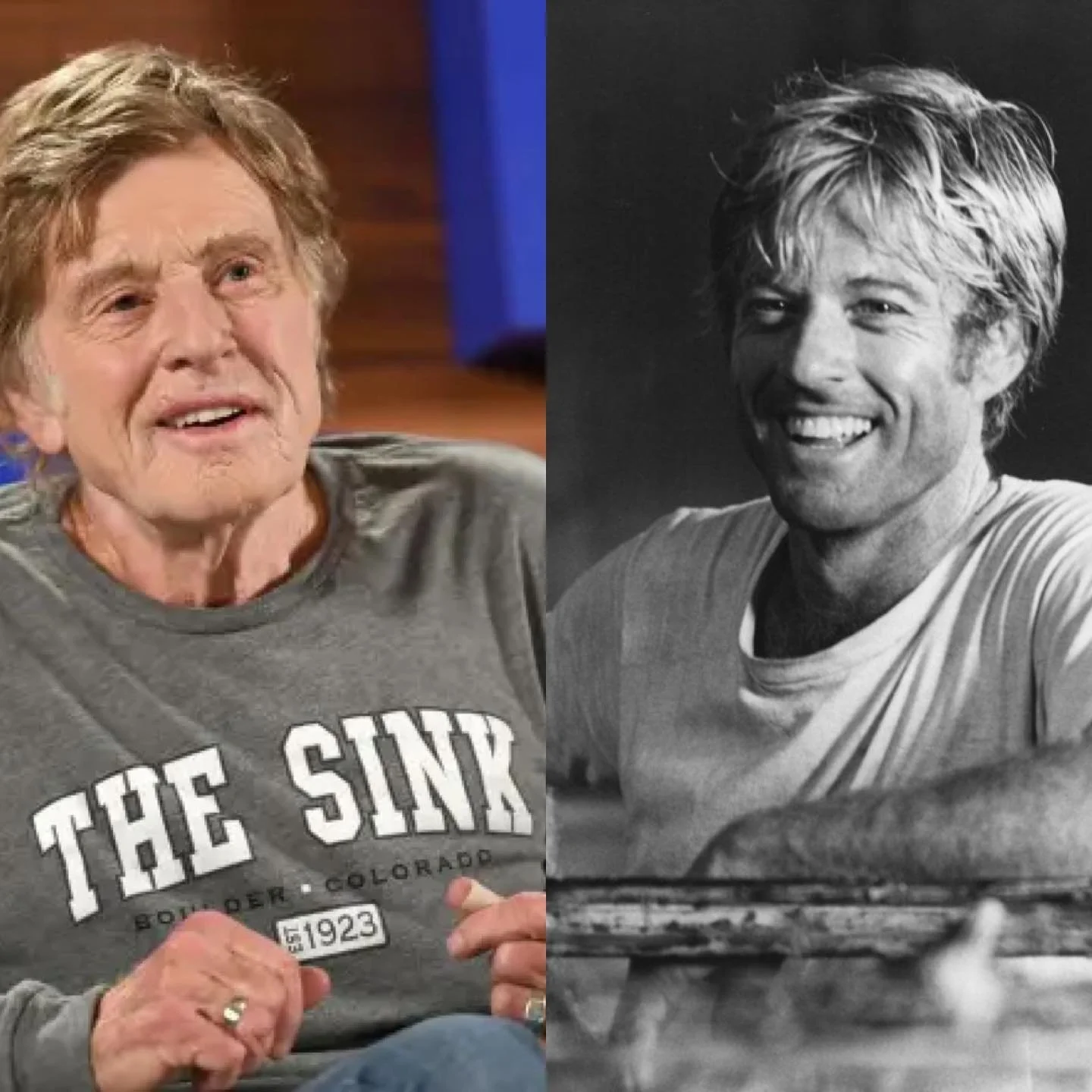 Sink Timeline — The Sink