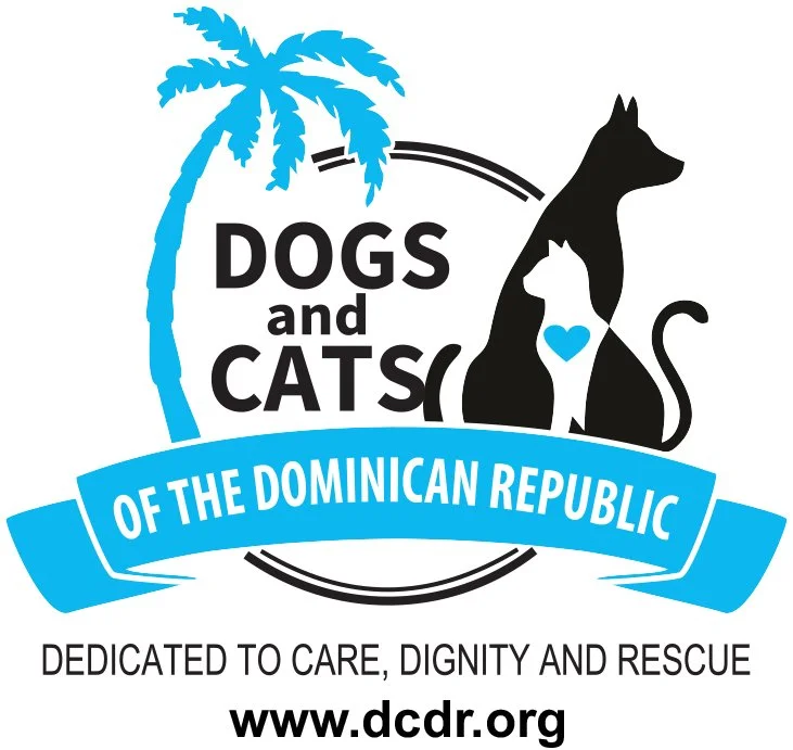 Adopt — Dogs and Cats of the Dominican Republic