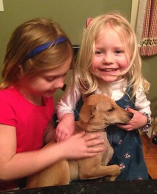 Adopt — Dogs and Cats of the Dominican Republic