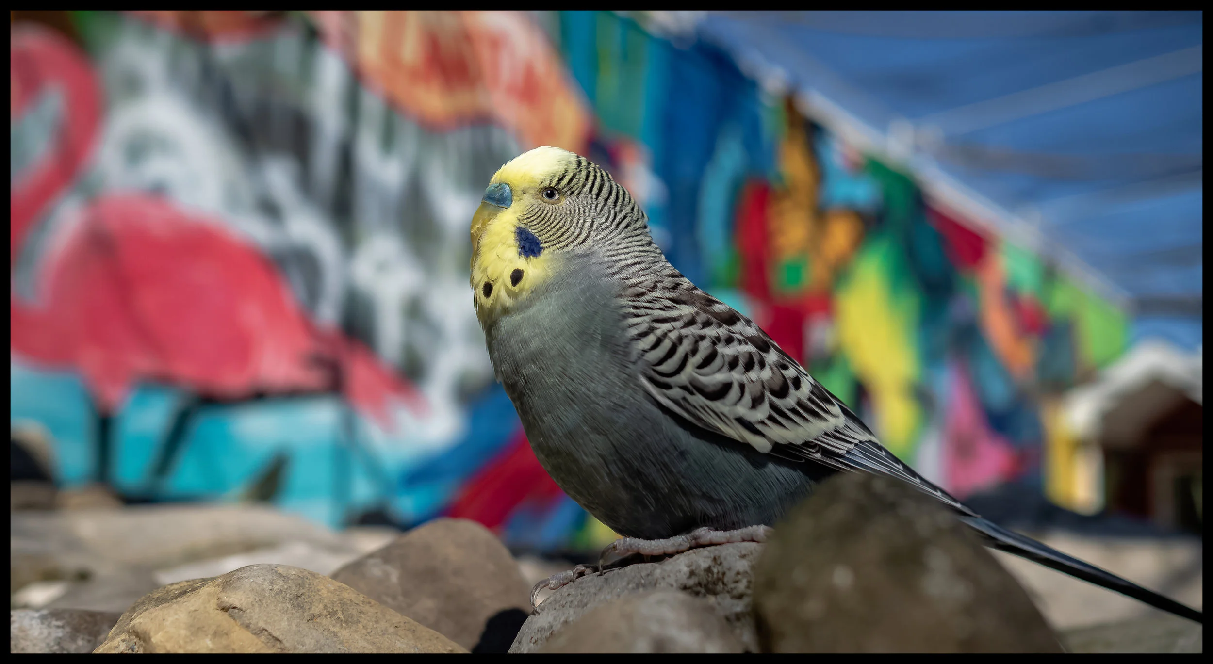 Our History — White Post Farms