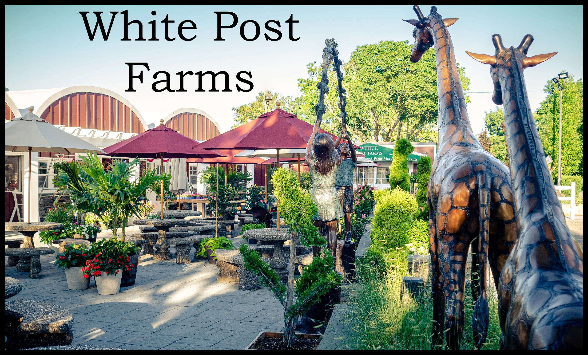 White Post Farms
