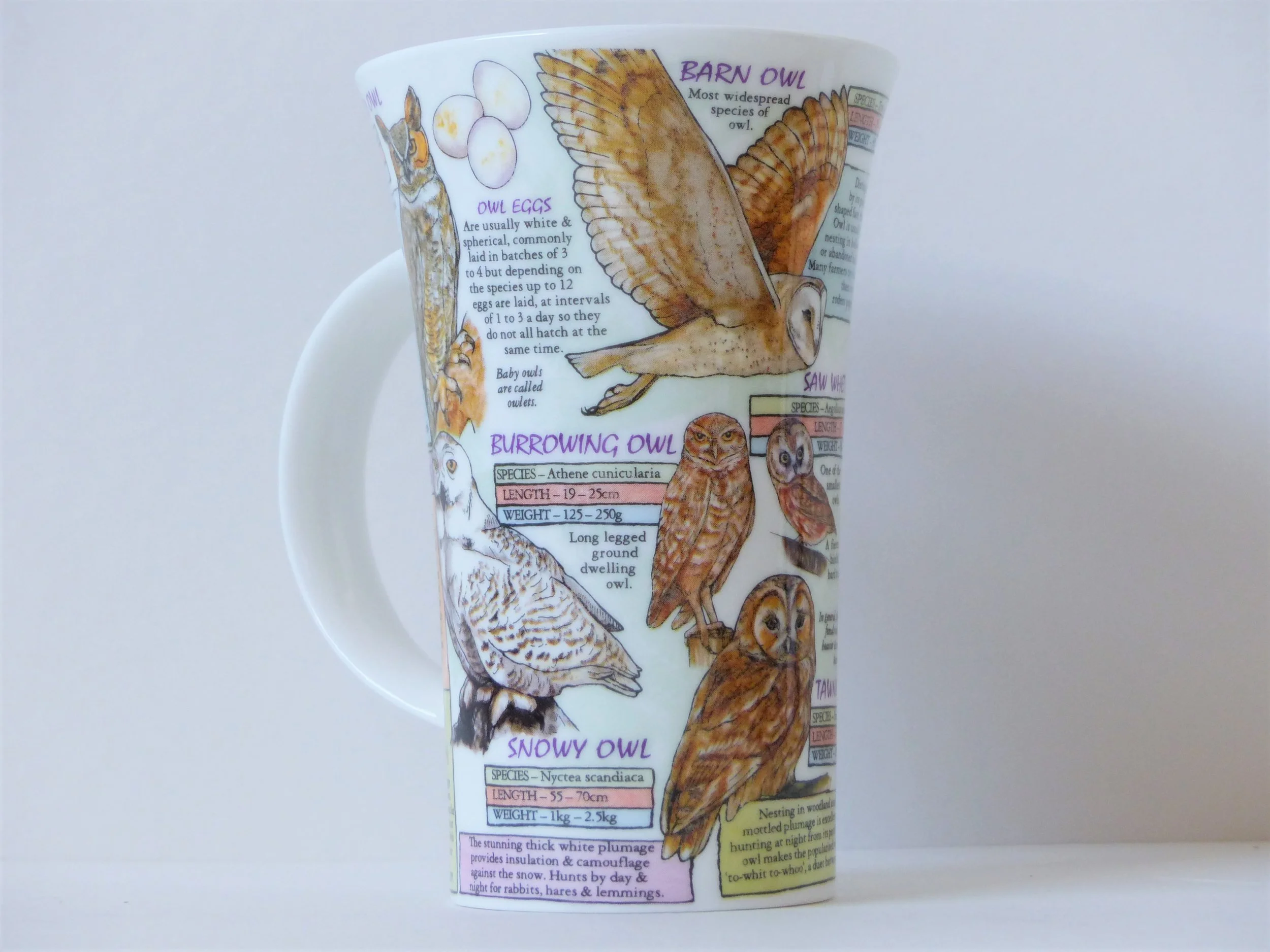 Dunoon Fine Bone China Mugs (large) — The Scottish Owl Shop