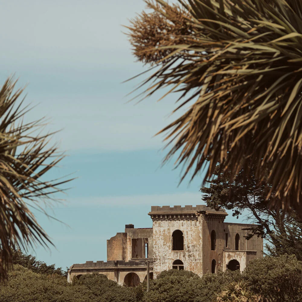 Dunedin Online | Michelle Beck Photography: Cargill's Castle