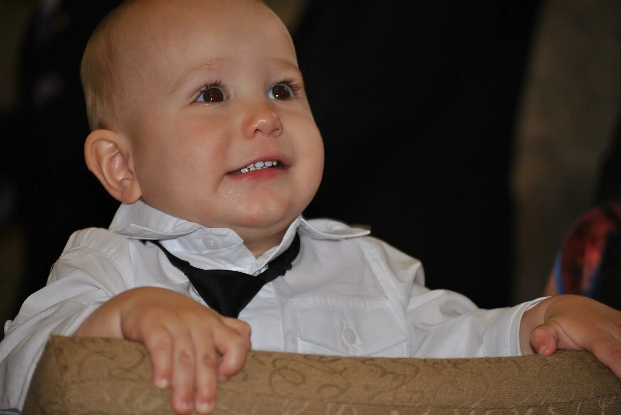 About Levi — Levi's Project