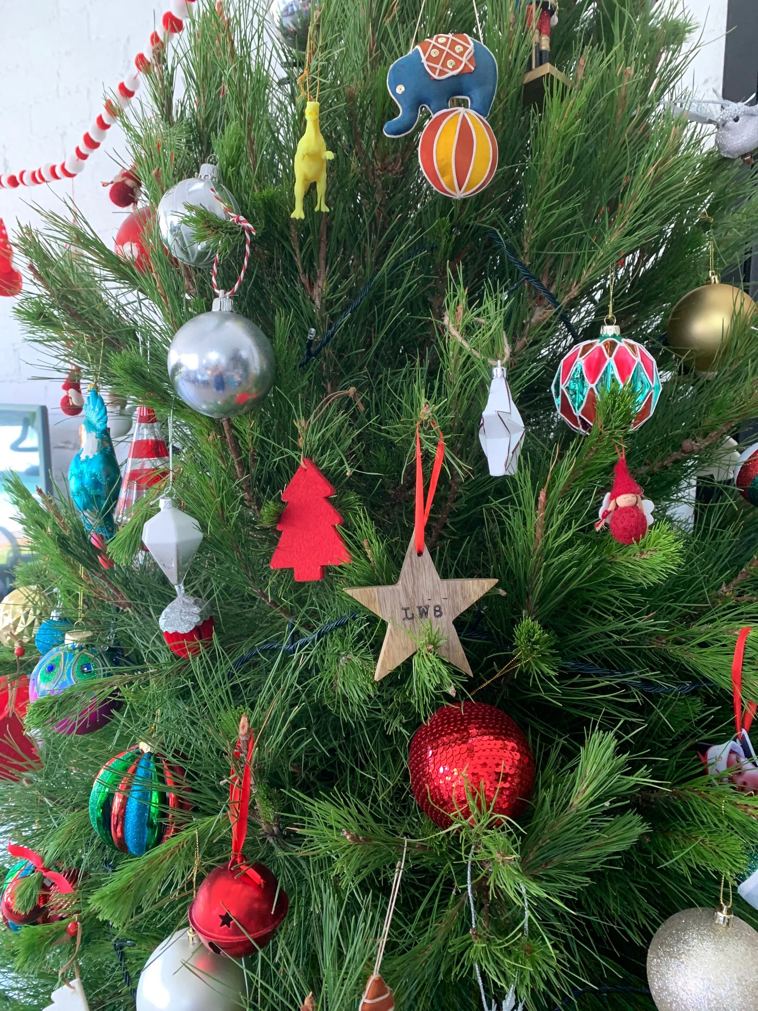 Chrissy trees for a cause — Levi's Project