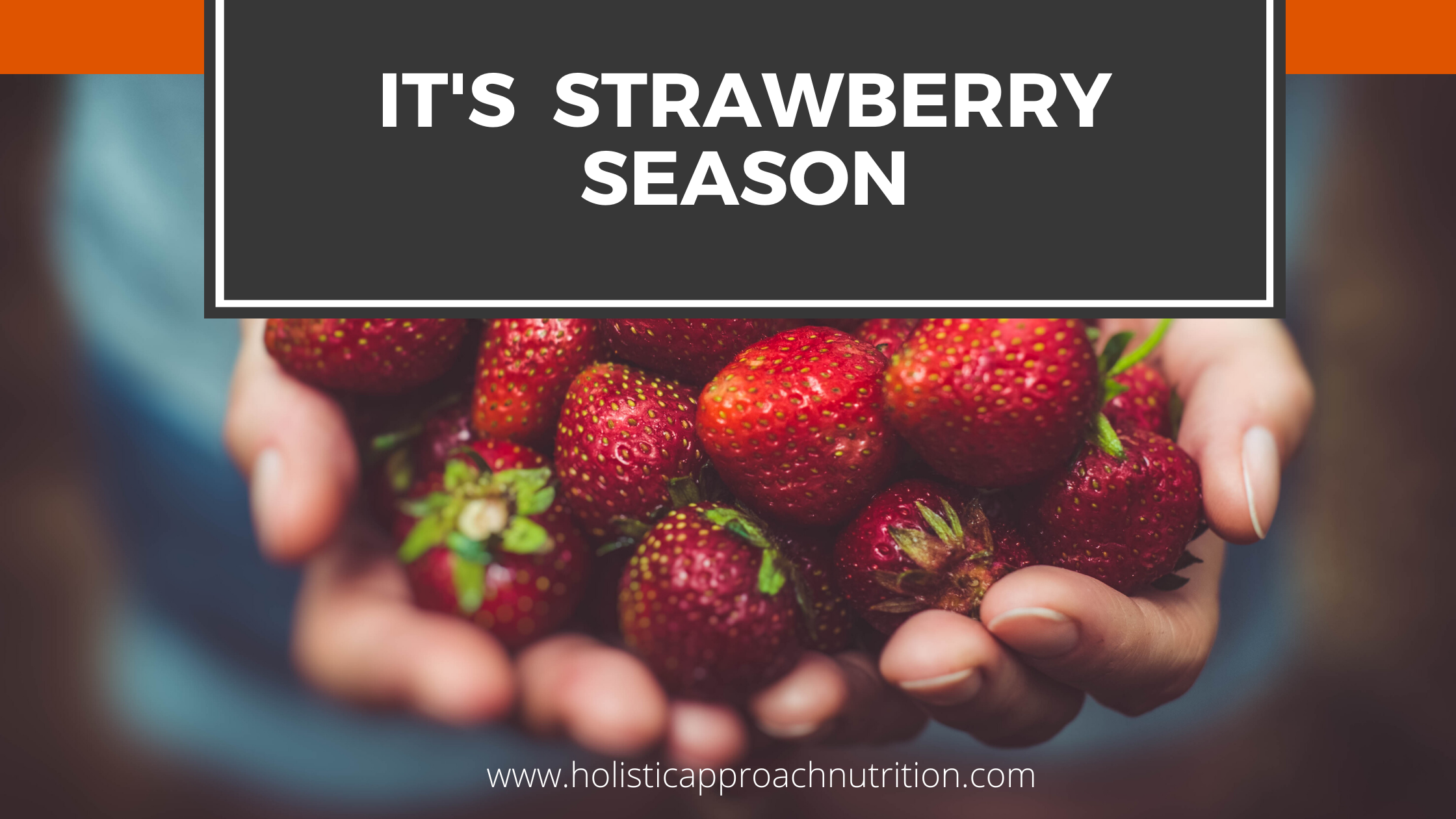It's Strawberry Season — Holistic Approach Nutrition