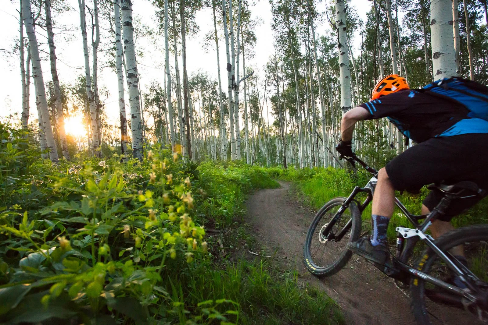 Things to do in Aspen in the Summer - 8 Unique Experiences