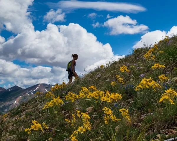 Aspen Hikes - The 15 Most Beautiful Hikes in Aspen, Colorado