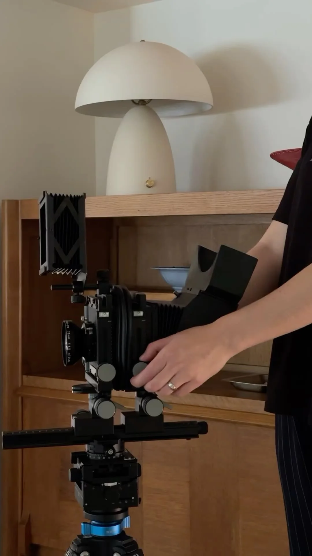 Files from 45 — OLIVE COOKE