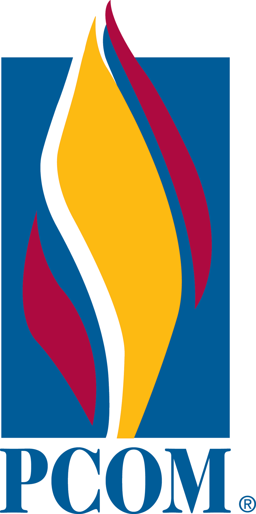 Fall Leadership — Georgia HOSA