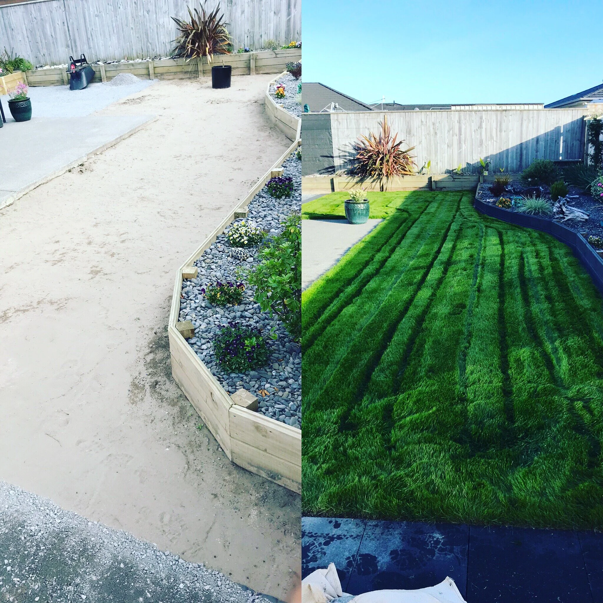Dark Perennial Ryegrass | Premium Seed for a Lush, Resilient Lawn ...