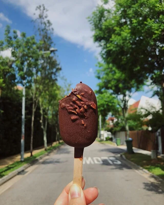 WHOLESALE — selva foods