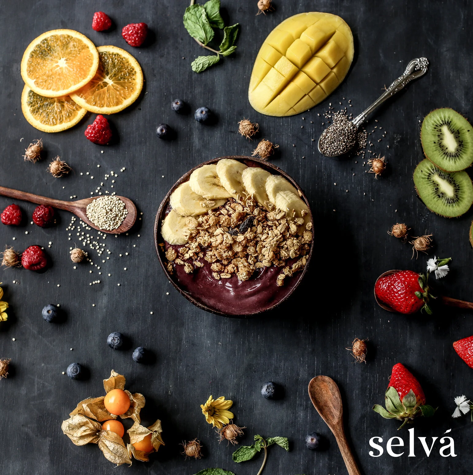 WHOLESALE — selva foods