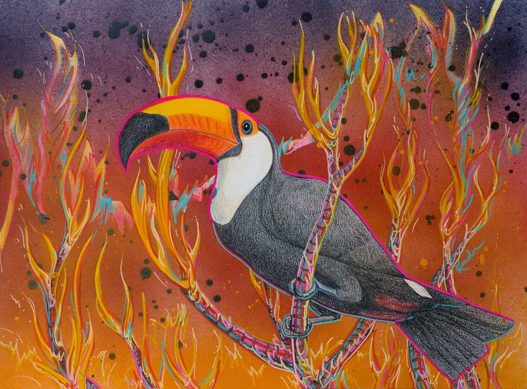 Kenda Francis — West Coast Drawing