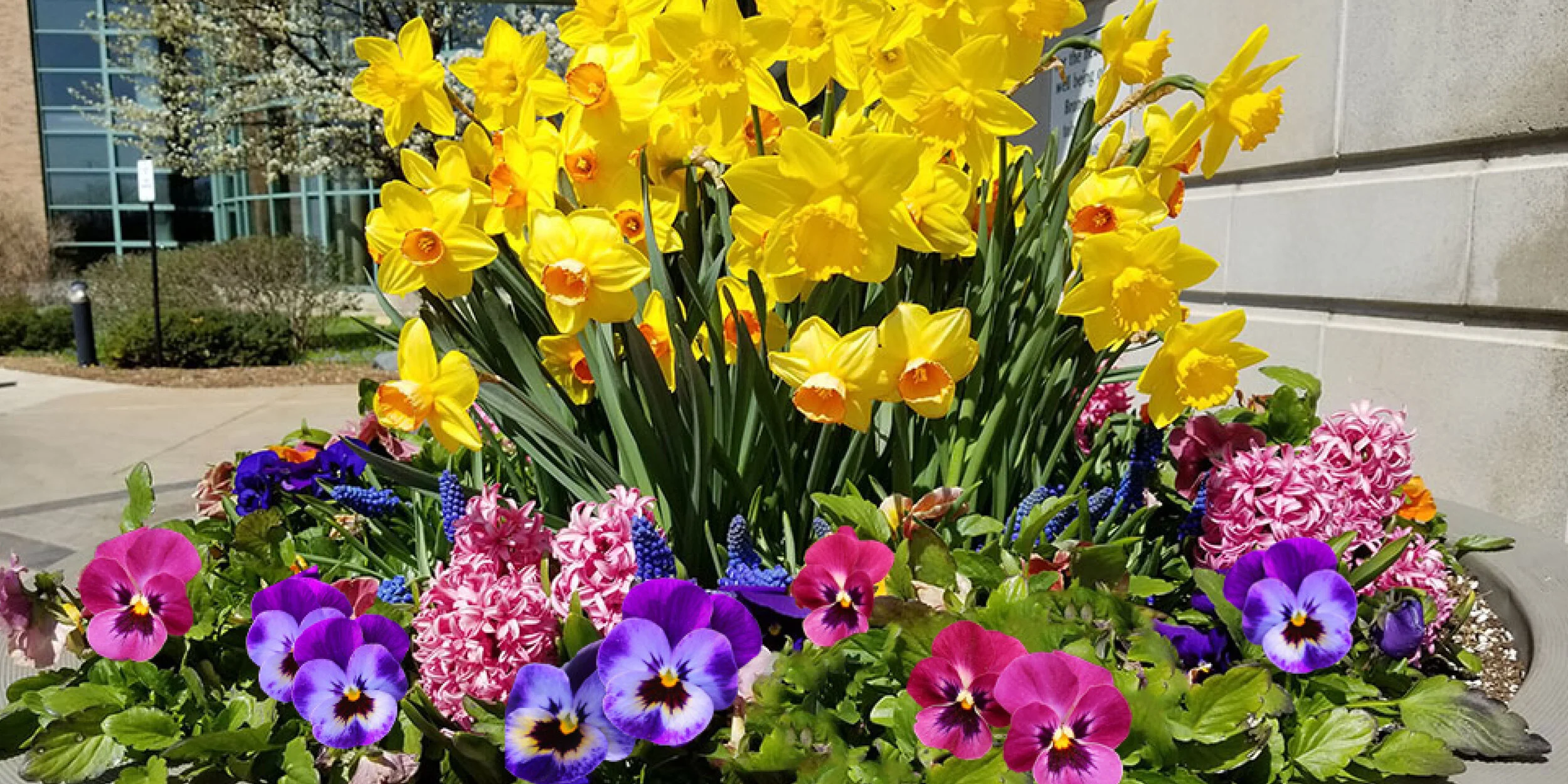 Integrated Plantscapes