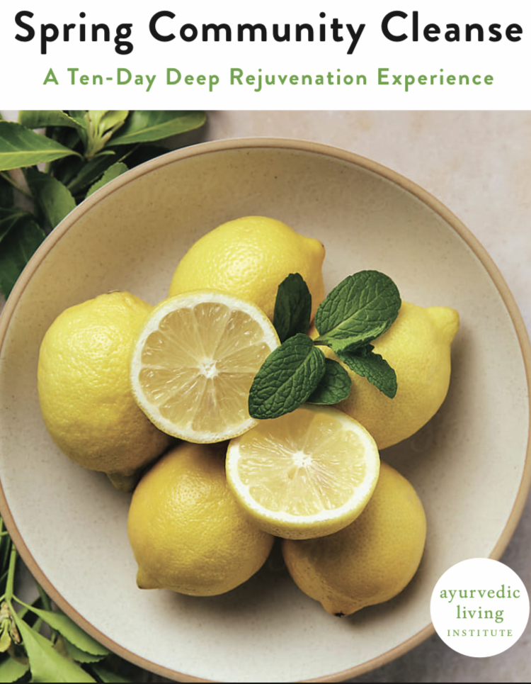 Spring Ayurveda Kitchari Cleanse — Ayurvedic Living Institute