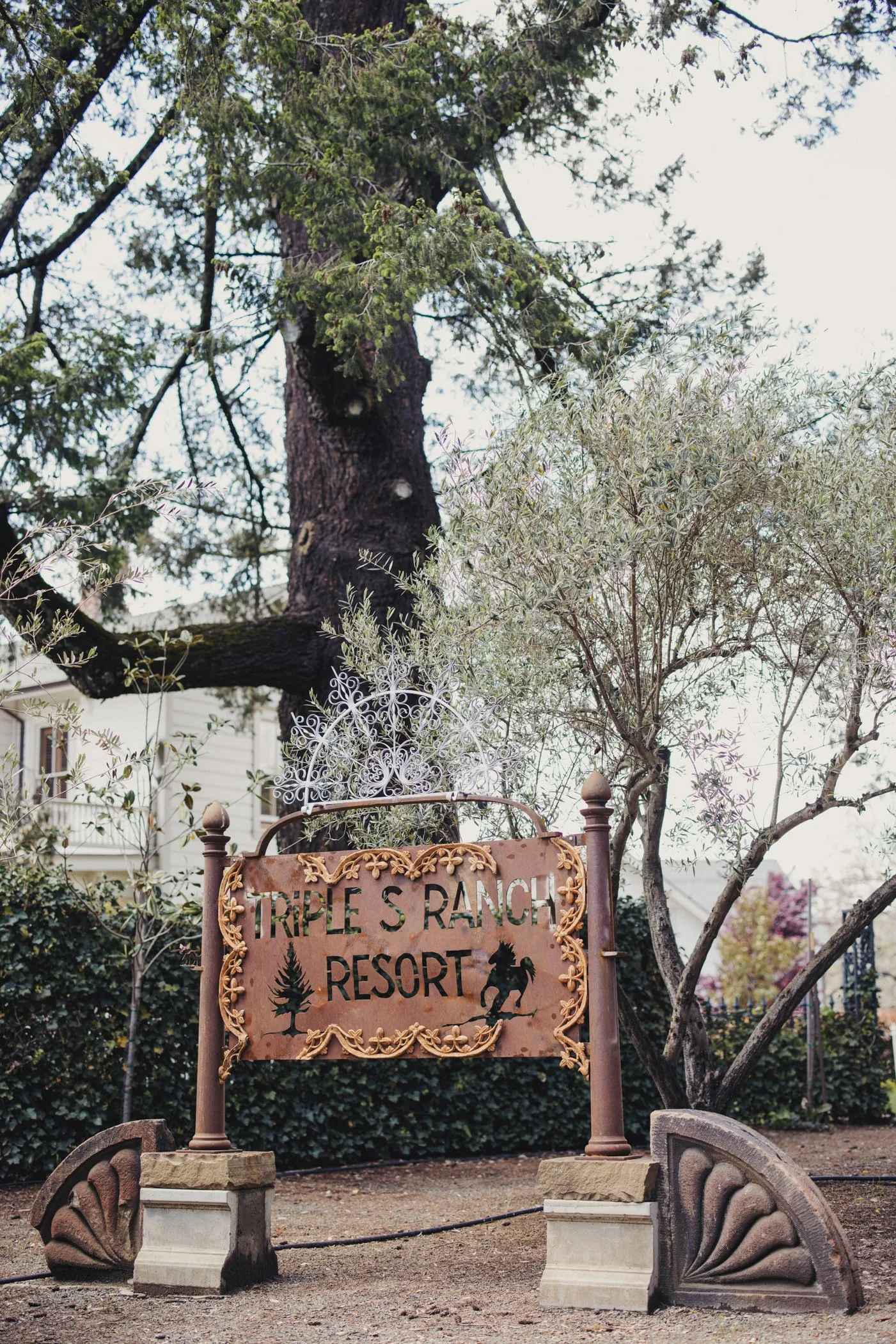 Leah + Brad Wedding | Triple S Ranch