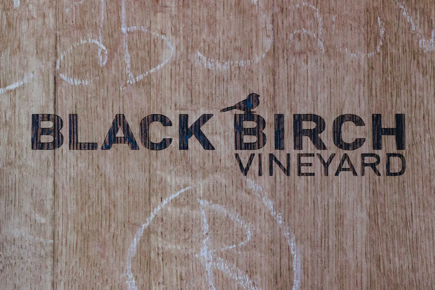 A Trip to Black Birch Vineyard in Hatfield — Enchanted New England