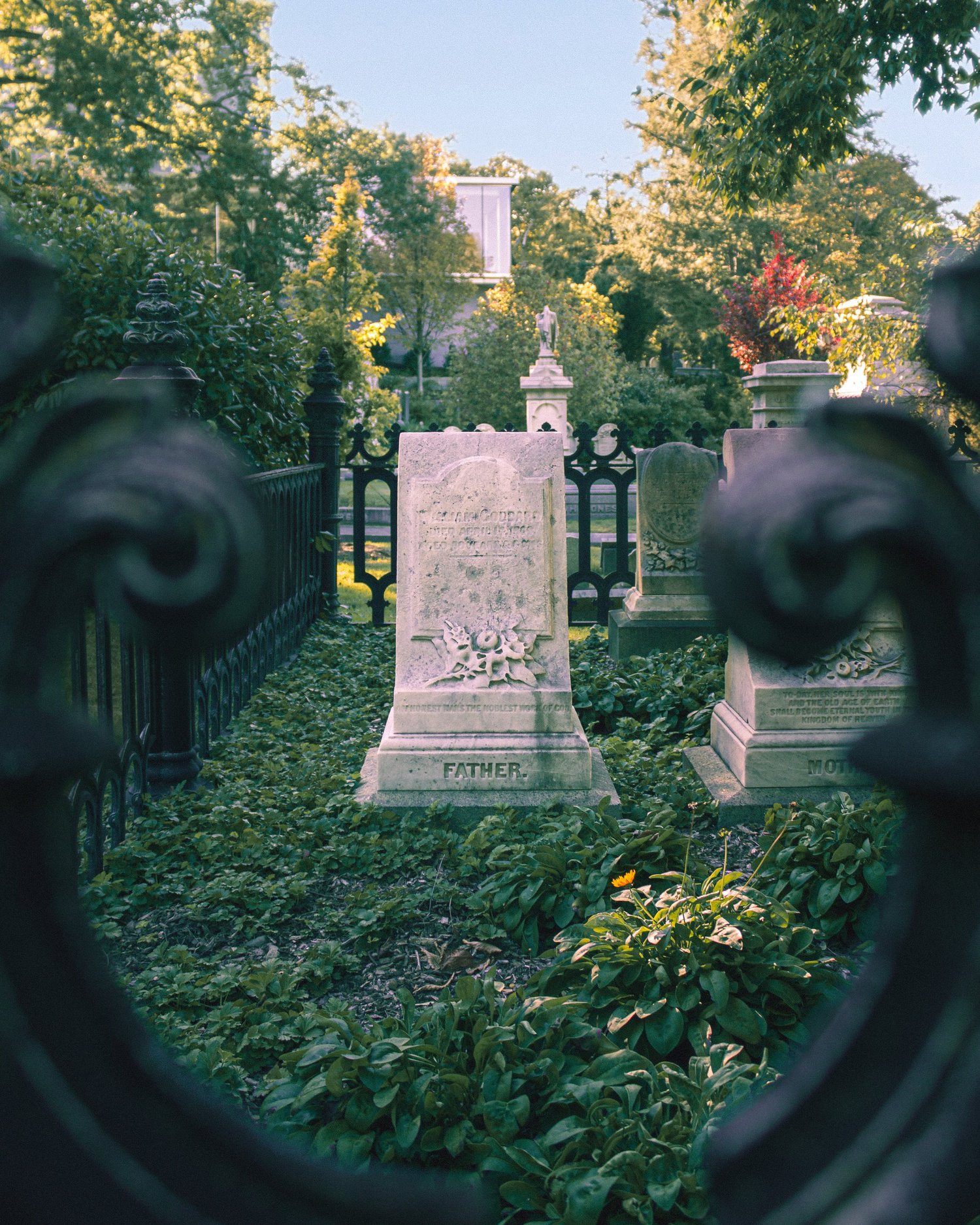 Mount Auburn Cemetery: History, Beauty & Legacy of America’s First ...