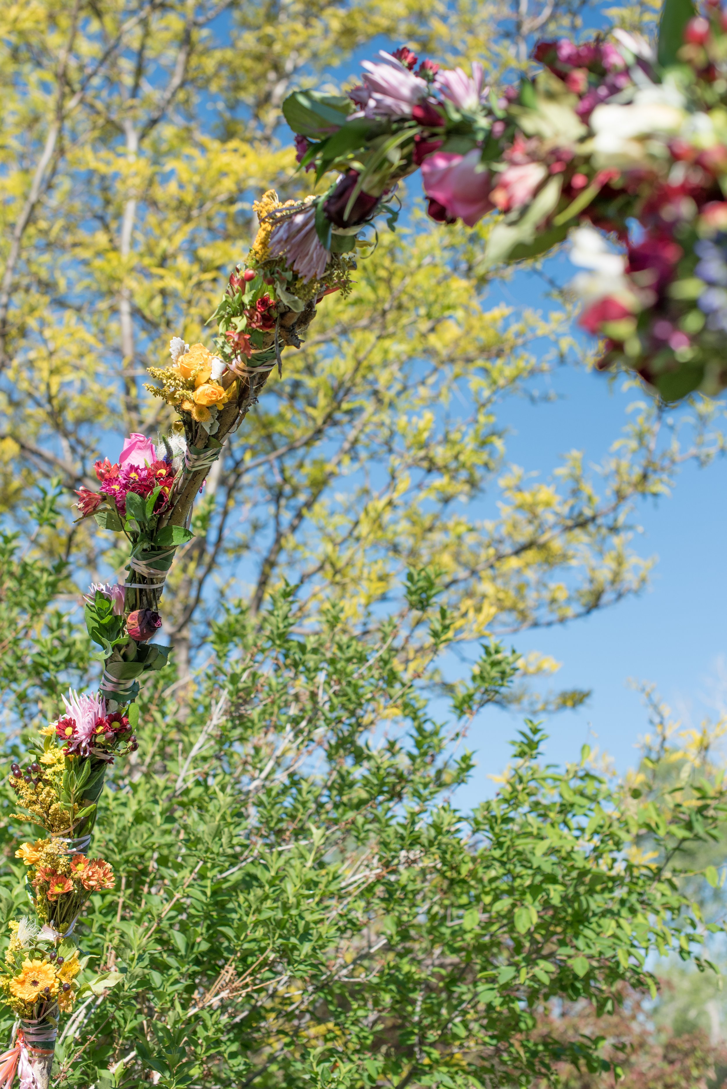 Spring Fundraising Event — WSRF