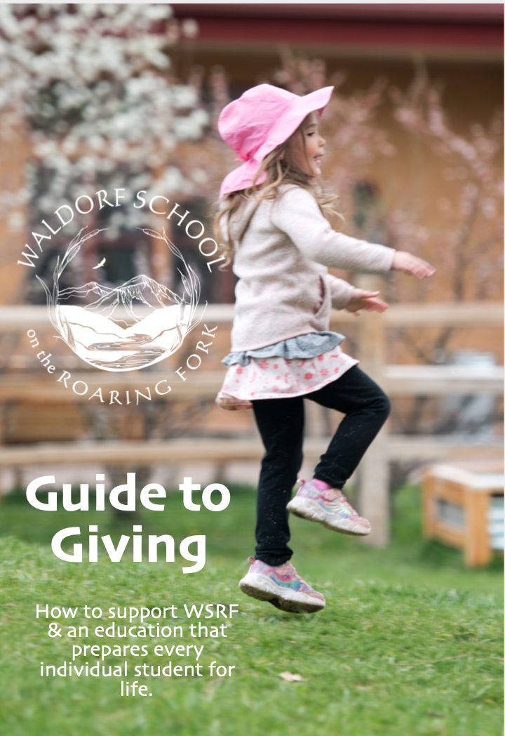 Why Support WSRF — WSRF