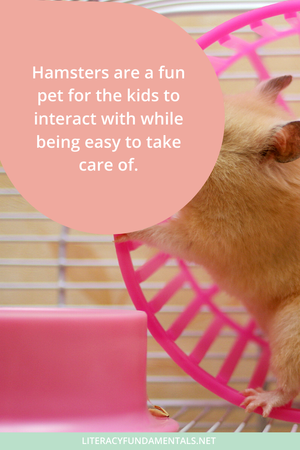 Simple Class Pet Ideas for Elementary Teachers — Literacy Fundamentals
