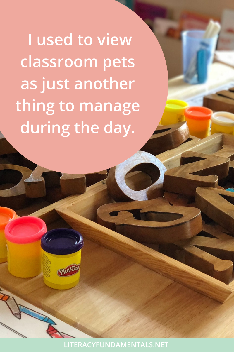 Simple Class Pet Ideas for Elementary Teachers — Literacy Fundamentals