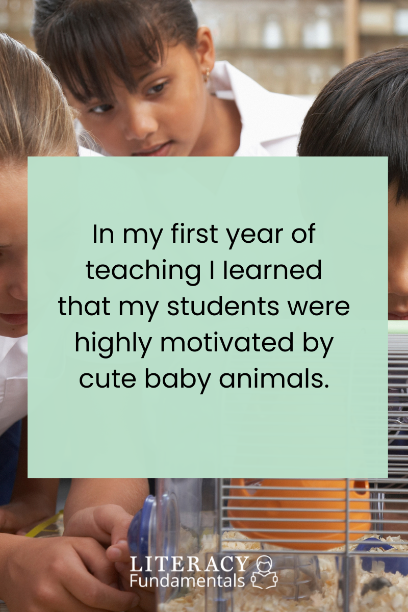 The Best Morning Meeting Activity For Elementary Students — Literacy ...