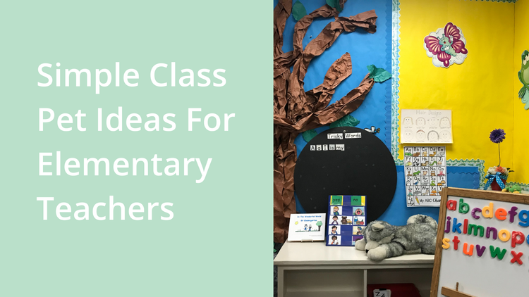 Simple Class Pet Ideas for Elementary Teachers — Literacy Fundamentals