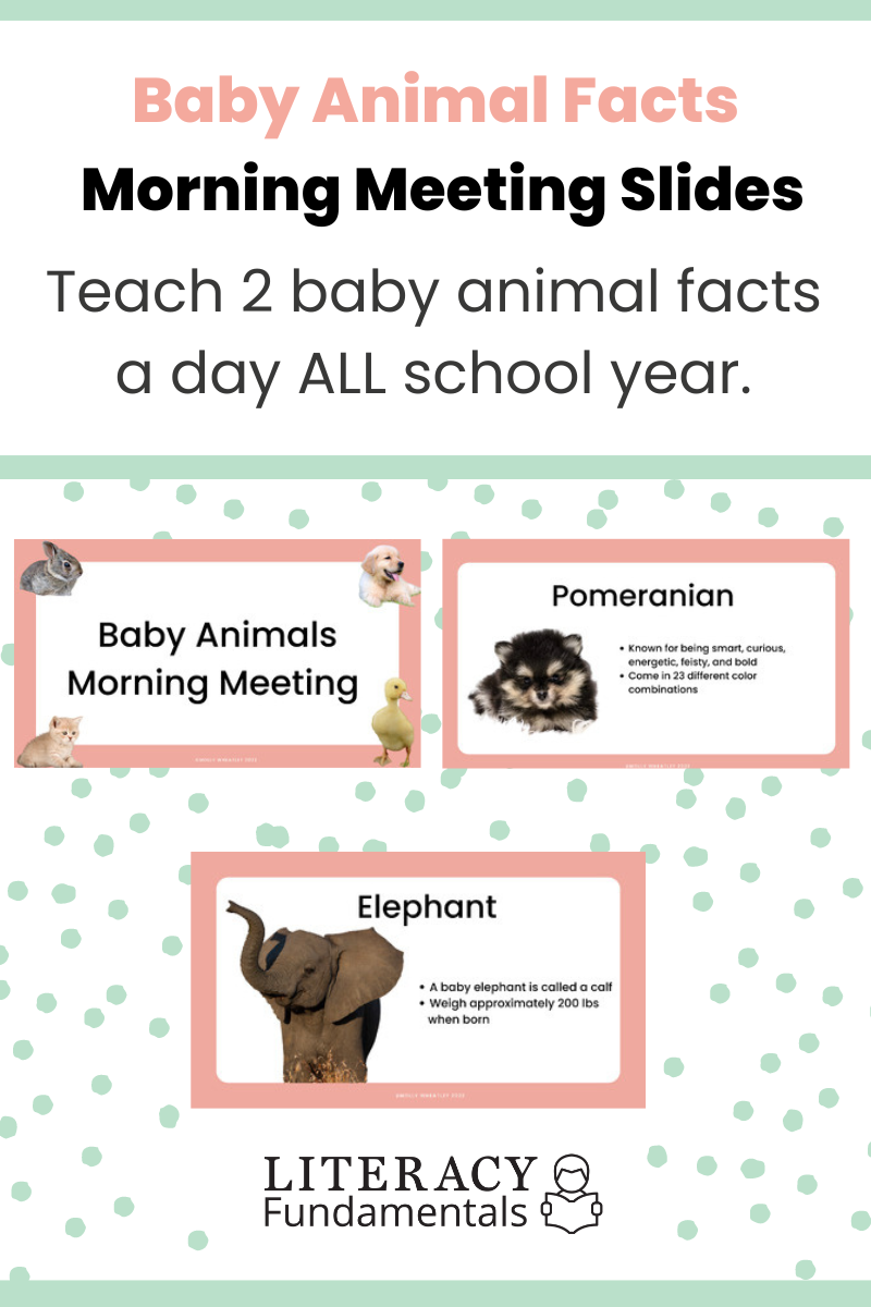 The Best Morning Meeting Activity For Elementary Students — Literacy ...