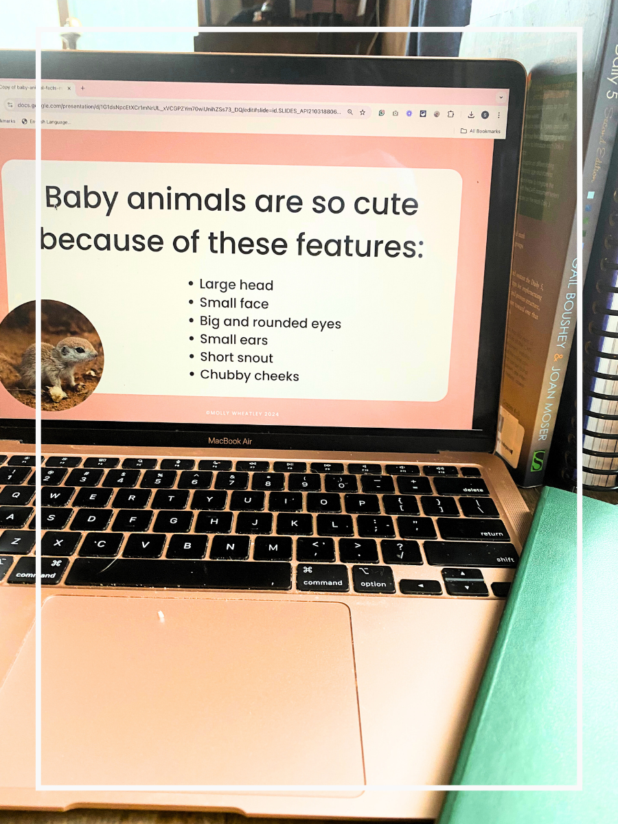 Ideas to Make Morning Meeting Work for Upper Elementary — Literacy ...